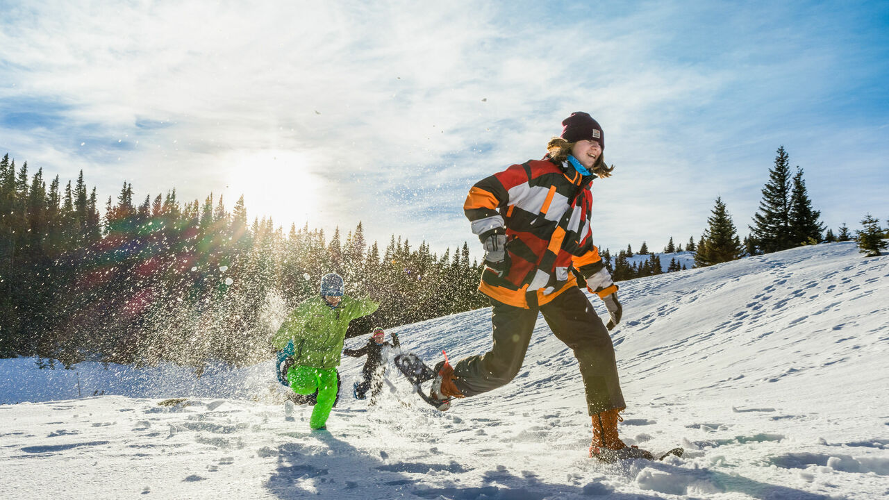 B2B Austria: Ekspedicije na visoravni